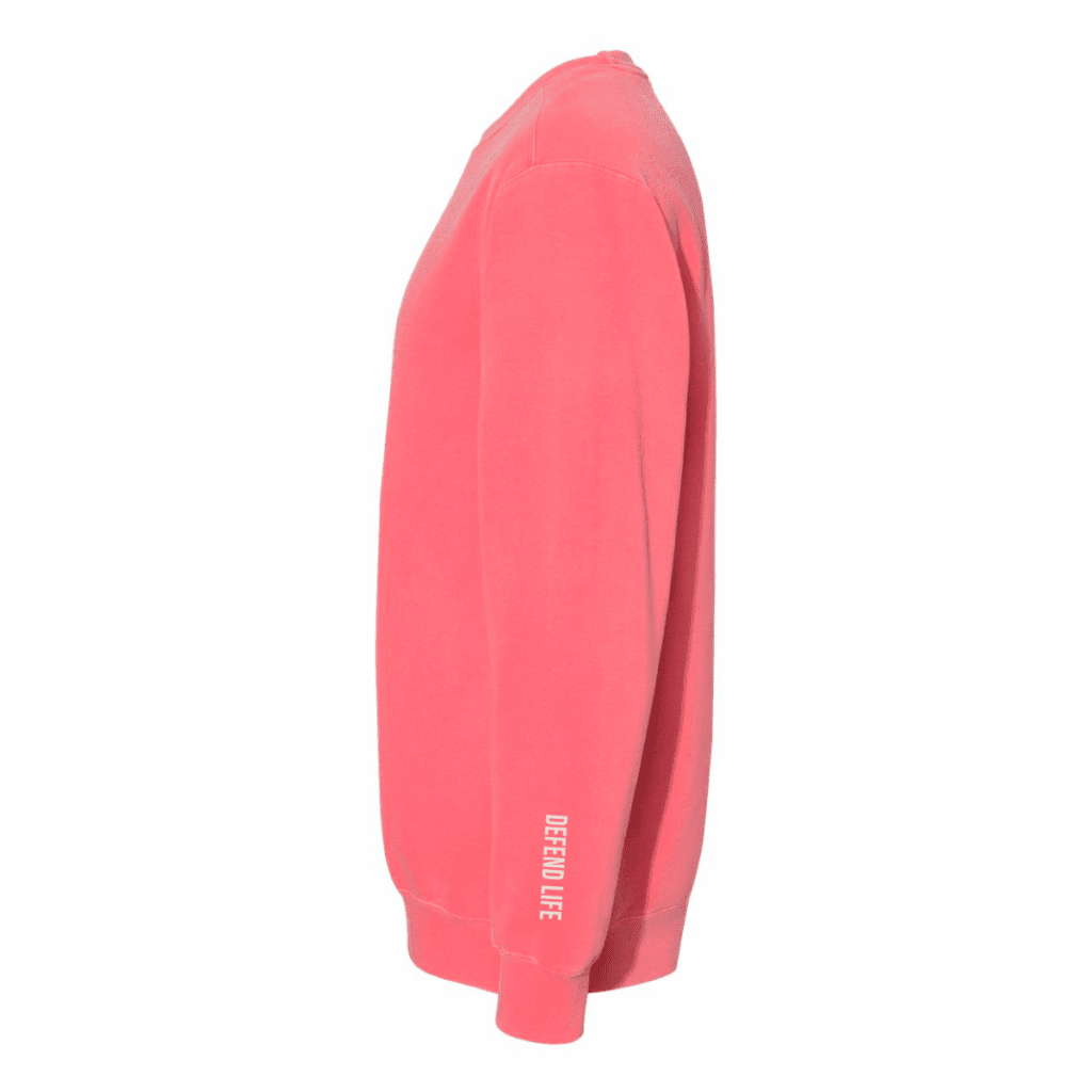 Defend Life Comfort Colors® Sweatshirt – Watermelon (Psalm 127:3 ...